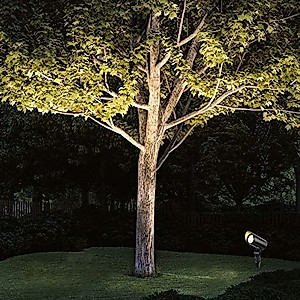 CINOTON 30W LED Landscape Lighting Outdoor with Photocell Sensor 120V Waterproof Dusk to Dawn Directional Uplight with US 3-Plug and 6.6 FT Cord Tree Flag Spotlights with Spike Stand 3000K Warm White