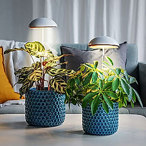 Grow Lights for Indoor Plants, POTEY 2 Heads Full Spectrum LED Plant Light, Height Adjustable Growing Lamp with Auto On/Off Timer 3/6/12H, 5 Dimmable Brightness