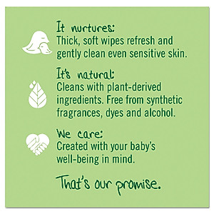 Seventh Generation -5703 Wipe Baby Refill (Pack of 12)