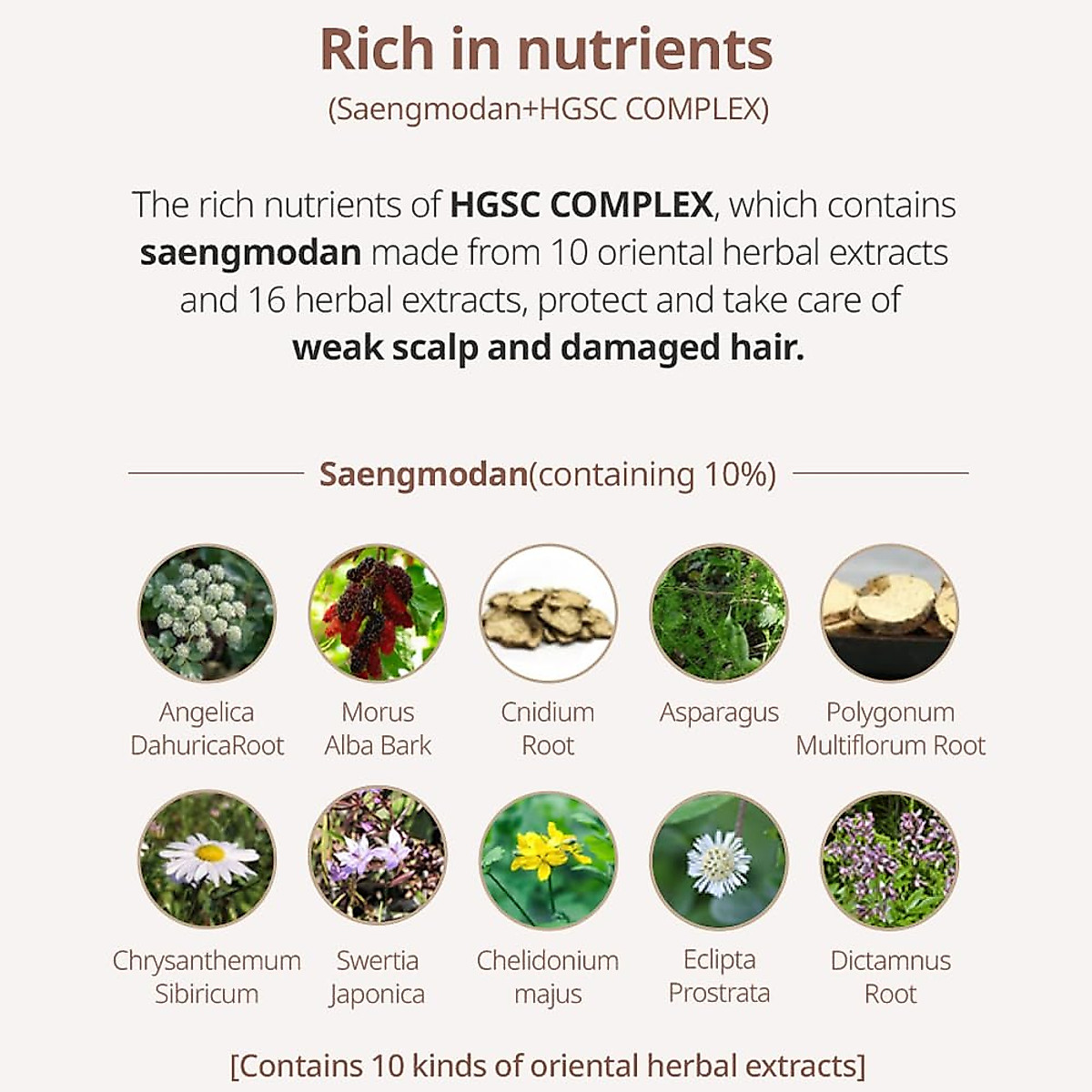 Atomy Herbal Hair Shampoo 500 Ml