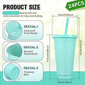 Roshtia 24 Pack Plastic Tumblers with Lid and Straw Reusable Cups Bulk Water Bottles Iced Coffee Travel Mug Cup for Birthdays Party Juices Adults Kids (24 OZ, Clear)