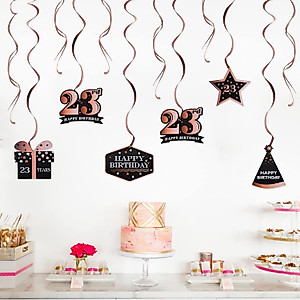 LINGTEER Happy 23rd Birthday Decorations,23rd Birthday Black with Rose Swirls Hanging Streamer Kit,Cheers to 23 Years Old Bday Foil Party Photo Backdrop Supplies.