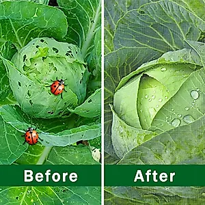 Garden net, Insect Proof net, 10x33 Ft Ultra-fine mesh Plant net, Garden net for Protecting Plants, Vegetables, Fruits and Flowers, Reusable Plant Cover