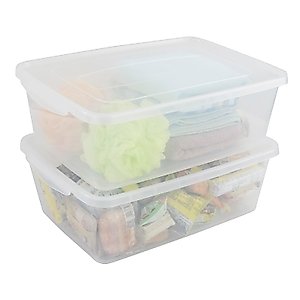 DynkoNA 16 Liter Plastic Container with Lid, Clear Storage Boxes Set of 2