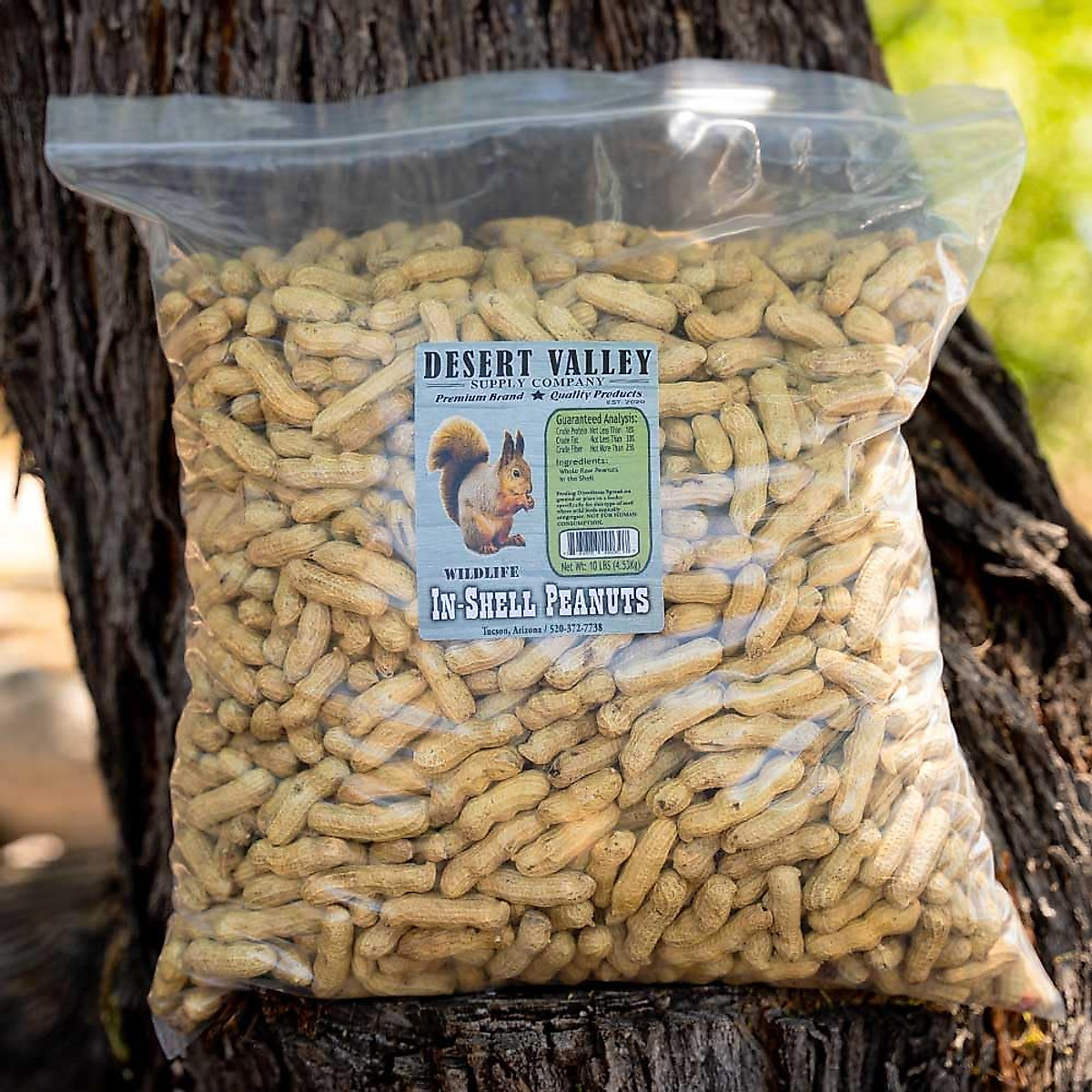 Desert Valley in-Shell Peanuts, All Natural Premium Wild Bird and Wildlife Food for Squirrels, Chipmunks, Cardinals, Jays, Woodpeckers and More (10 Pounds)
