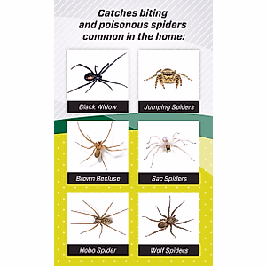 RESCUE! Spider Traps – Catches Brown Recluse, Hobo Spiders, Black Widows & Wolf Spiders - 4 Pack (12 Traps)