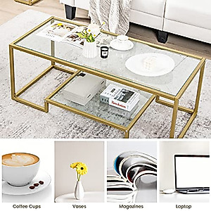 Tangkula Rectangular Glass Coffee Table, 45in Wide Modern Tempered Glass Center Table with Golden Steel Frame, 2 Tier Accent Table Home Furniture Décor for Tea Living Room Office (Gold, 45'' Wide)