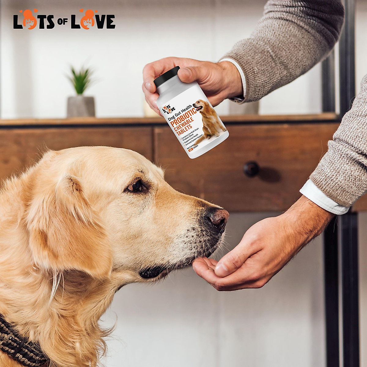 Dog Probiotic Chewable Tablets - Probiotic for Dog - Probiotic Supplement - Lots of Love Pet Products - 60 Count (Pack of 1)