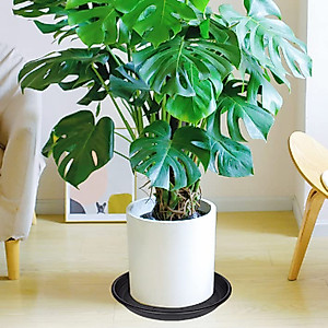 SAUCERHOME Plant Saucer Pot Tray 20 inch, 1 Packs 21 inch (17 inch Base) Plastic Flower Planter Saucers Drip Trays for Indoors Outdoors, Thick Heavy Sturdy Durable Plant Plate Water Catcher (Black)