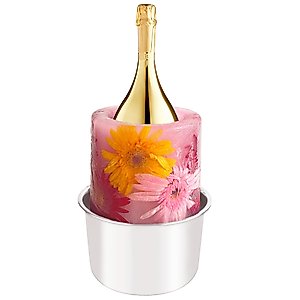 ZHURUININ Champagne Bucket Ice Mold Wine Bottle Chiller, DIY Your Own Wine Chiller Bucket with Flower Fruits Any Decoration for Special Parties Bar Holiday Wedding, Beautiful & Creative Decoration