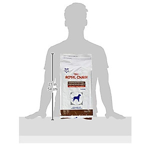 Royal Canin Veterinary Diet Canine Gastrointestinal High Energy Dry Dog Food, 8.8 lb