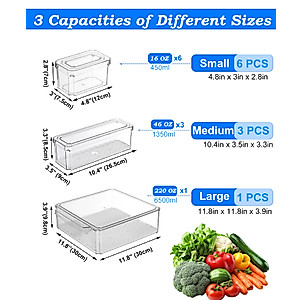 Pure Future Set of 10 Refrigerator Organizer Bins Stackable with Lids, Fridge Organizers and Storage Clear, BPA-Free, Fridge Storage Containers for Fruits & Vegetables