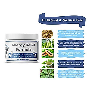 Doc Ackerman's - Allergy Relief Formula - Fast Acting Anti-Itch Relief - Enhanced with Green Tea Extract, Papaya, & Mullein - Immune Support for Pets - Professionally Formulated Herbal Remedy - 10 oz