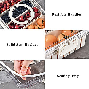 2Pack Divided Veggie Tray with Lid and Handle 4 Compartment Serving Tray with Dividers Portable Travel Snack Storage Containers Stackable Snackle Box Charcuterie Container for Fruit,Vegetable,Salad
