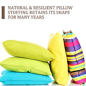 Wesnoy Cotton Filling White Cotton Stuffing for Stuffed Animals Soft Pillow Stuffing Natural Cotton Fiber Filling Batting, Stuffing for Stuffed Animals, Toys, Cloud Decorations, and More(1.1 lb)