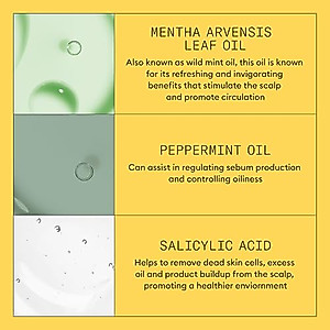 Nioxin Scalp + Hair Thickening System 1 Shampoo, For Natural Hair with Light Thinning, 16.9 fl oz (Packaging May Vary)