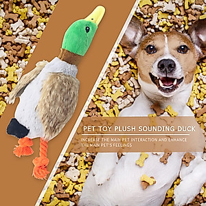 Dog Toys for Aggressive Chewers, Pet Mallard Duck Dog Toy, Squeaky Plush Puppy Dog Toy for Small Dogs (Rope)