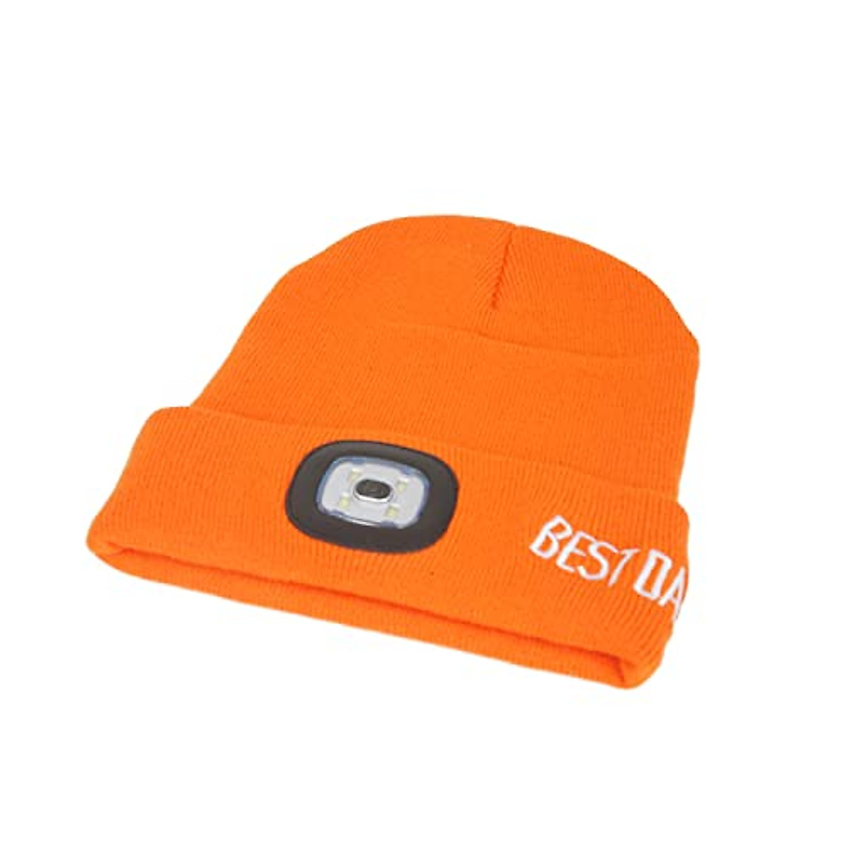 Funny Gifts for Dad from Daughter Son Fathers Day Beanie Winter Hat Christmas Stocking Stuffers for Men Daddy Step Dad Him