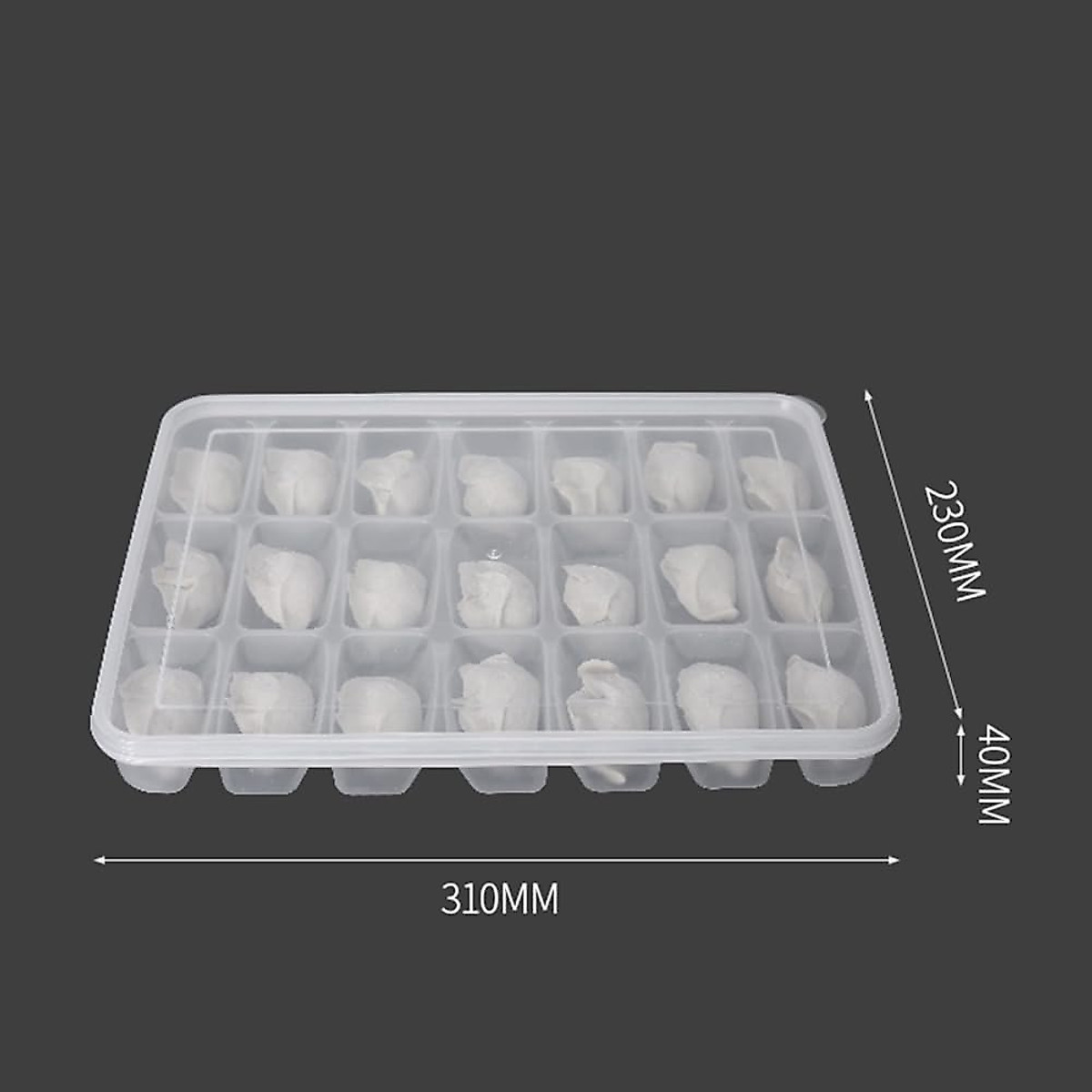 BESTonZON Dumpling Storage Box, Food Storage Containers with Lids, Reusable 21 Grid Dumpling Box Bins Holder with Lids for Refrigerator, Good Sealing Stackable Food Containers for Kitchen and Fridge