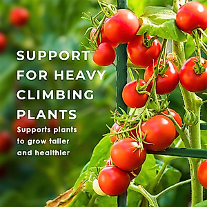 K-Brands Tomato Cage - 6 Pack Tomato Trellis and Plant Support for Tomatoes, Vegetable and Climbing Plants - Tomato Cages Heavy Duty for Garden and Pots Outdoor - 56 Inch Tall