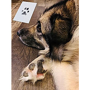 Green Pollywog - Extra-Large Clean Touch Inkless Ink Pad for Pets | Pawprints for Dogs & Cats Non-Toxic | Paw Print Stamp Kit | Dog Paw Print Kit | Cat Footprint Keepsake (2-Pack)