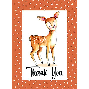 A Paper Smile Woodland Animal Thank You Cards Boxed Set 35 Note Cards
