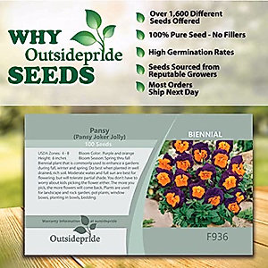 Outsidepride Pansy Jolly Joker Indoor House Plant Or Outdoor Garden Flower for Beds, Borders Pots, & Containers - 100 Seeds