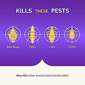 Hot Shot Bed Bug & Flea Fogger Pack 3-Pack, Kills Bed Bugs and Fleas Indoors, Get Rid of Fleas In House, Inhibits Reinfestation Up to 7 Months