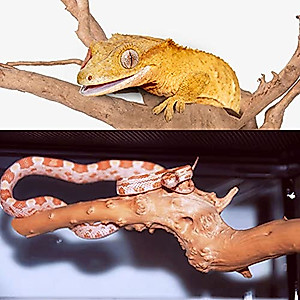 kathson 4 PCS Reptile Driftwood Habitat Decor Reptile Branches Bendable Vine Leaves Terrarium Wood Ornament Lizard Tank Accessories for Gecko, Snakes, Chameleon, Hermit Crab, Spider