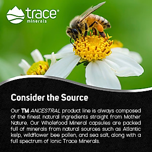 TM ANCESTRAL Wholefood Minerals Capsules | 642 mg/capsule (180 capsules) | Supports Hydration, Sleep, Brain, Nerves, & Digestion | Includes Bee Pollen, Atlantic Kelp, Ancient Sea Salt, and ConcenTrace