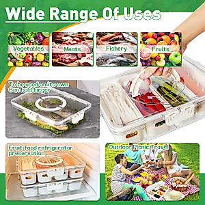 LOTOFUN Divided Serving Tray Container with Lid: Snackle Box Container Storage Organizer for Adults Snacks Fruits Vegetable Food for Fridge Kitchen Travel 4 Compartments