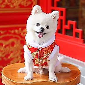 Pet Tang Suit, Chinese Style Dog Cheongsam Winter New Year Coat Outfit Clothing Cat Costume for Puppy Small Medium Dogs (XL)