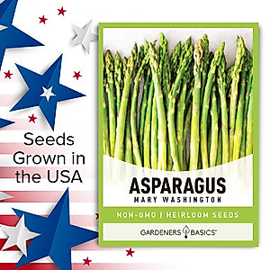 Gardeners Basics, Asparagus Seeds for Planting - Mary Washington Non-GMO Perennial Vegetable Variety- 2 Grams Seeds Great for Spring and Early Summer Gardens