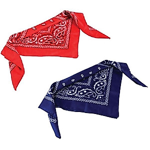 Novelty Treasures Costume Play Set Child Western Cowboy Hat, Plastic Sheriff Badge, and Matching Bandana Scarf (2 Sets)