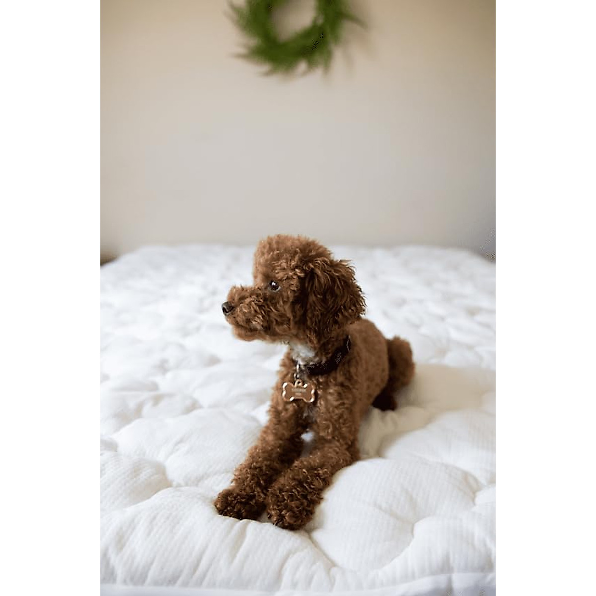 Pillowtex Waterproof Mattress Topper – Blend of Rayon Derived from Bamboo and Polyester, Silent, with Fitted Skirt, Mattress Protector - Cal King Size