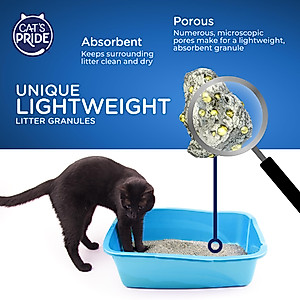 Cat's Pride Lightweight Clumping Litter: Flushable - Powerful Odor Control - Scented, 10 Pounds