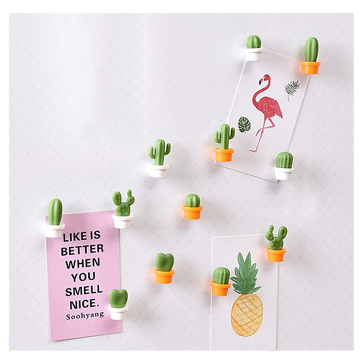 TabEnter Decorative Refrigerator Magnets, Perfect Fridge Magnets for House Office Personal Use (12Pcs Cactus)