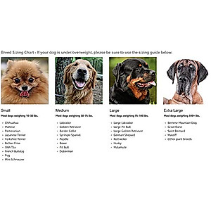 Labra Supportive Dog Rear Leg Hock Joint Wrap Brace with Metal Springs Protects Canine Wounds as They Heal Compression Brace Heals and Prevents Injuries and Sprains Helps Arthritis (Medium)