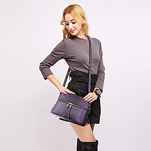 Dasein Women Tassel Zipper Pocket Crossbody Bag Shoulder Purse Fashion Travel Bag with Multi Pockets(Ostrich Purple)