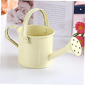 YARNOW 9 pcs Gardening Kettle Ornament metal spray bottle small indoor watering can tools mini waterer can watering cans water spray cans mister for plants simple watering pot