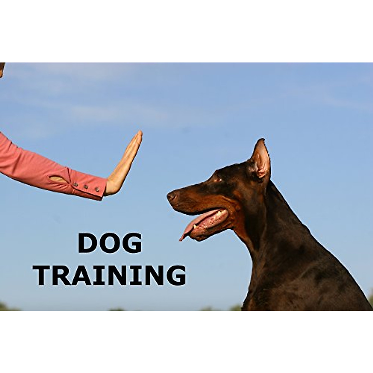 SAFETY-SPORT DOG HORN XL