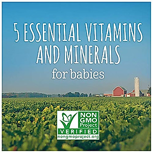 Gerber Graduates Puffs Cereal Snack, Variety (Blueberry, Apple Cinnamon, Vanilla, Strawberry Apple)1.48 Oz,(Pack -4)