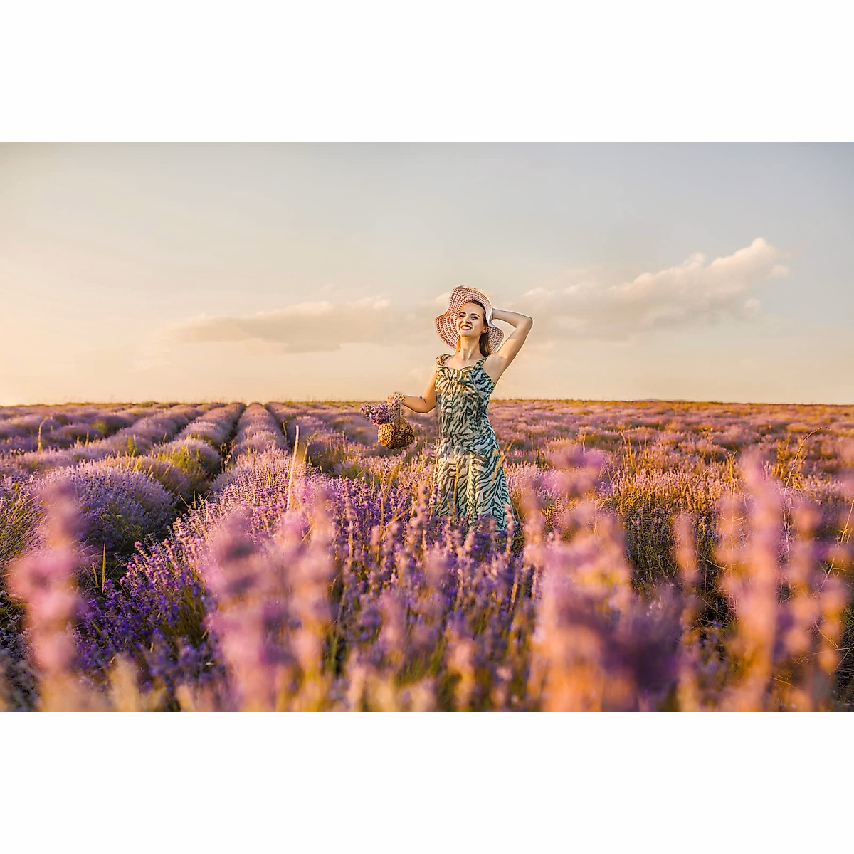 5000+ Lavender Seeds Non-GMO Heirloom Perennial Herb Seeds 90% Germination Lavender Seeds for Planting Indoors, Outdoors