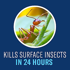 BioAdvanced Complete Brand Insect Killer for Soil and Turf, Granules, 10 lb