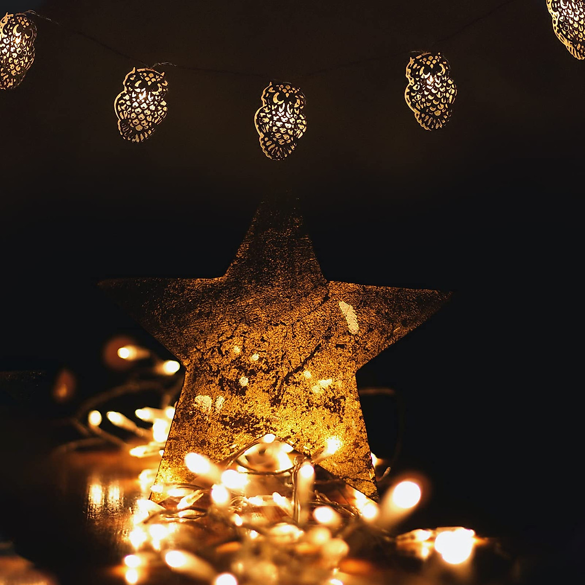 balacoo Owl String Lights Bird String Light with 10 LEDs Halloween String Light Christmas Decoration Lights for Home Garden Outdoor Yard