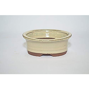 Bonsai Ceramic Pot 5" Oval Shape, Beige Color with draining Holes.