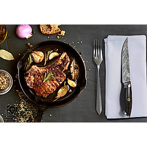 Dalstrong Steak Knife Set - 4 Piece - 5 inch Blade - Omega Series - BD1N-V Hyper Steel Kitchen Knife - G10 Woven Fiberglass Handle - Razor Sharp Knife - Leather Sheath Included