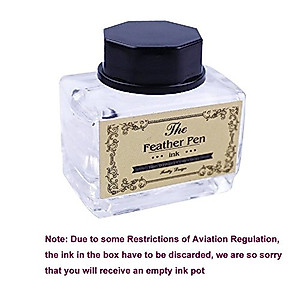 Calligraphy Feather Pen Set- Vintage Writing Feather Quill Pen Ink Set- 5pcs Metal Pen Nib Wedding Gift Set (Compass Box Feather Pen)