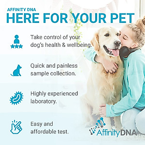 AffinityDNA Dog Multidrug Resistance 1 (MDR1) DNA Test Kit | Home Sample Collection Kit for 1 Canine | Puppy MDR1 Testing Kits | Results in 7 Working Days | A Complete Kit with No Extra Fees