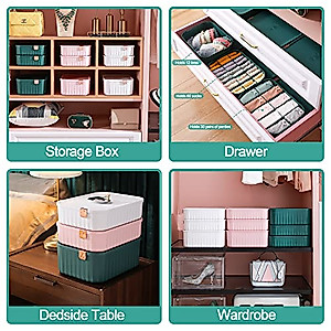 Withtoday Socks underwear drawer organizer, 10Cells or 15Cells underwear organizer Boxes for Socks, underwear organizer for drawer(10grid, PINK)